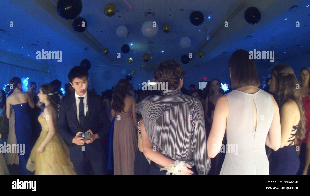 THERAPY DOGS, Ethan Eng, 2022. © Utopia / Courtesy Everett Collection ...