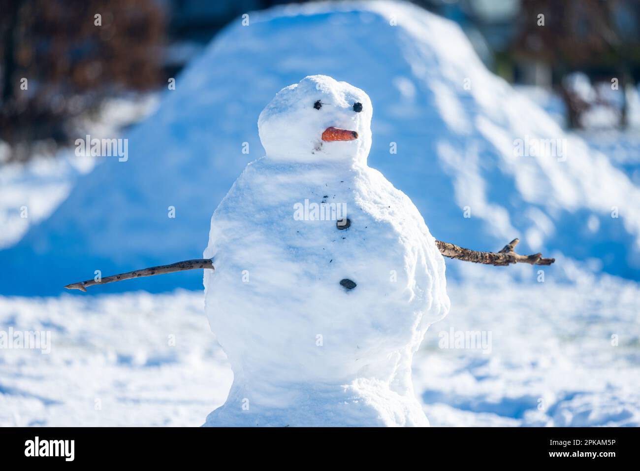 Snowman in a field hi-res stock photography and images - Alamy