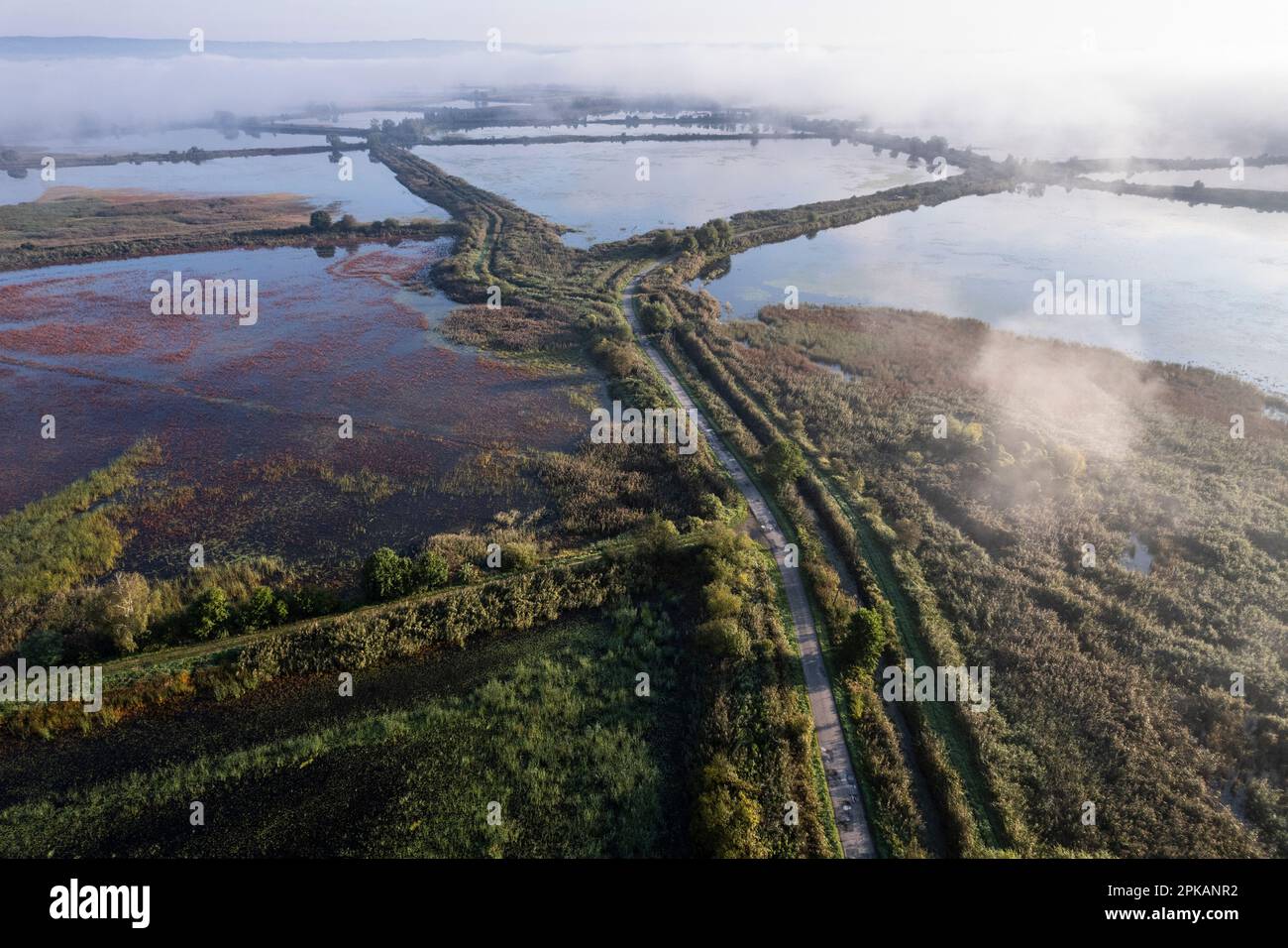 Europe, Poland, Lesser Poland, fish ponds near Zator Stock Photo - Alamy