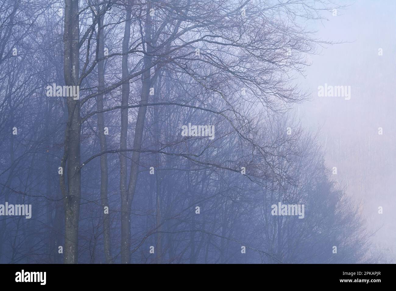 Dense atmosphere hi-res stock photography and images - Alamy