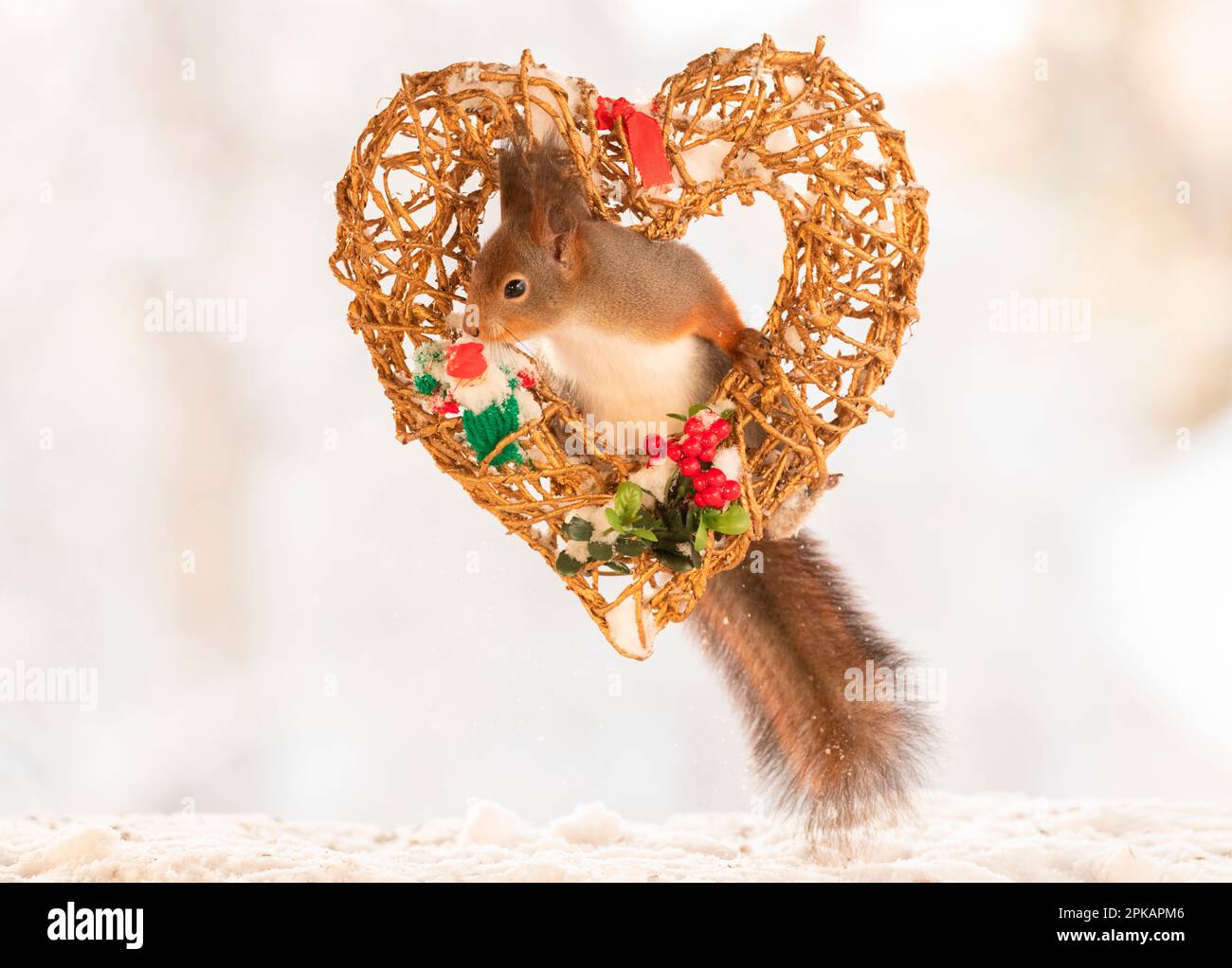 Squirrel garland heart hi-res stock photography and images - Alamy