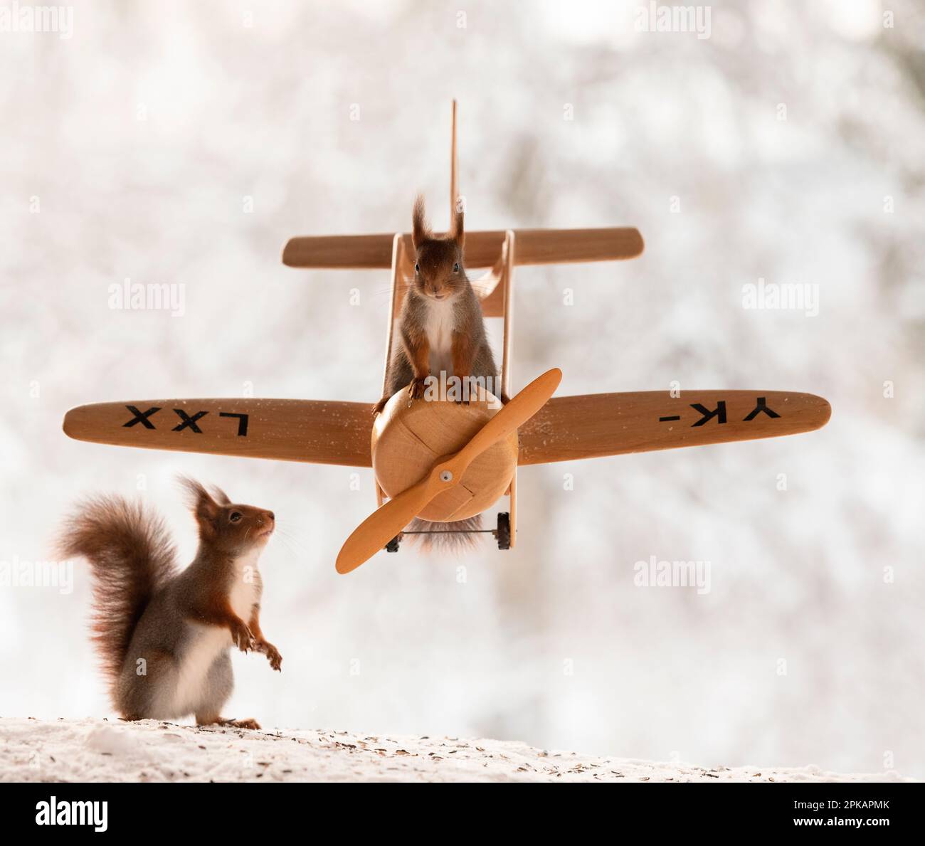 Get on an airplane hi-res stock photography and images - Alamy