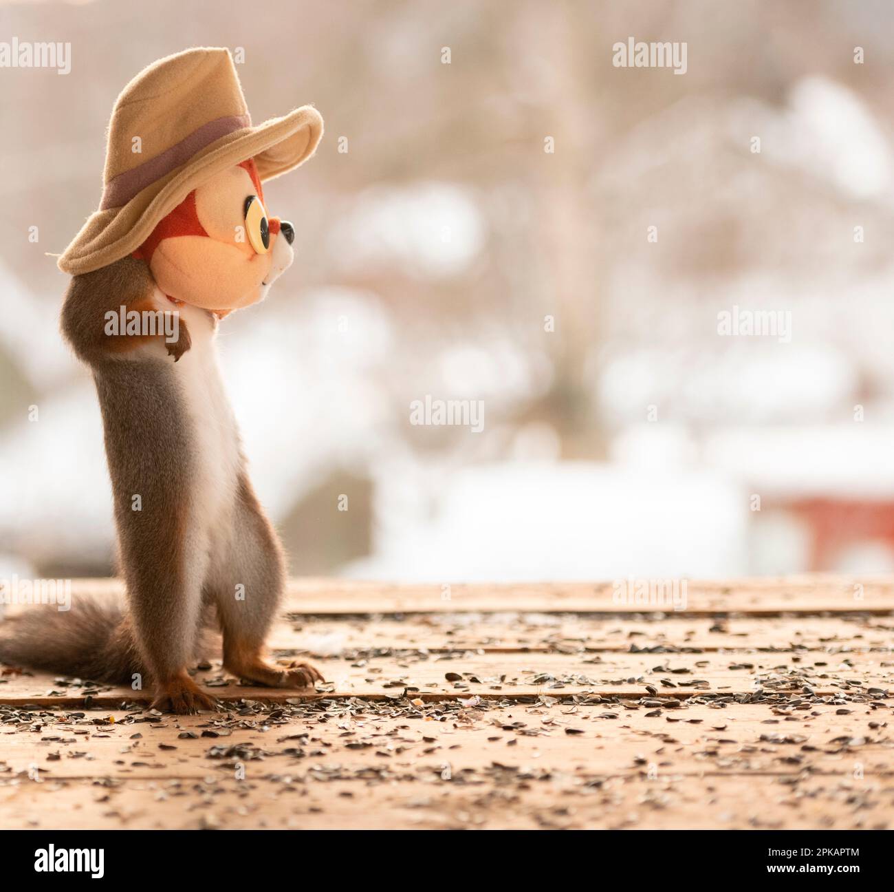 Inside of mask hi-res stock photography and images - Alamy