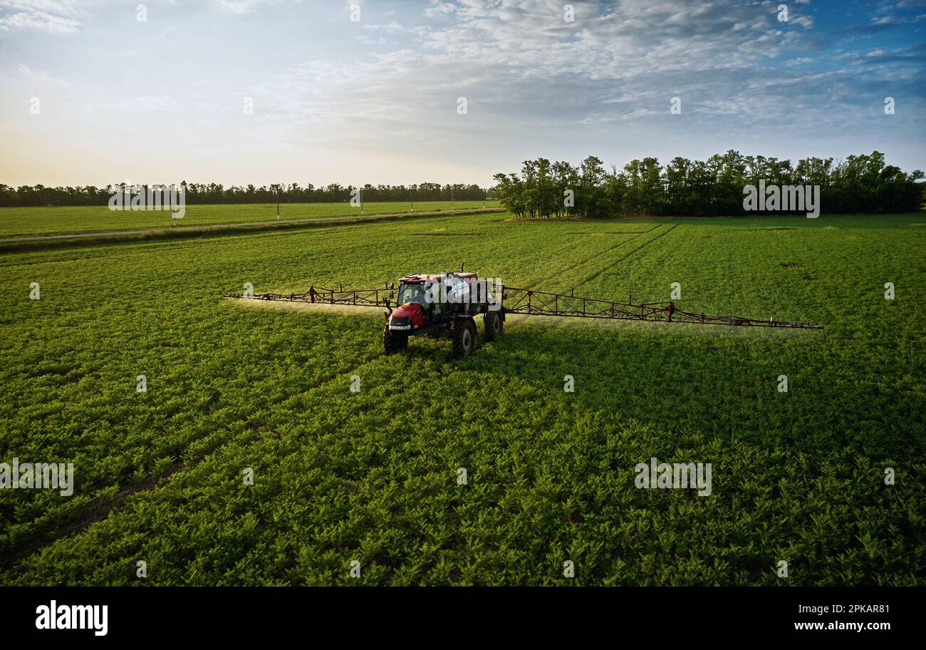 Sprayer CASE 3330 spraying pesticides on chickpea field. Field ...