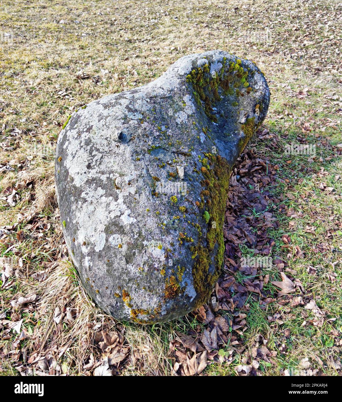 Erratic block from the ice age on the humpback meadows near Mittenwald ...