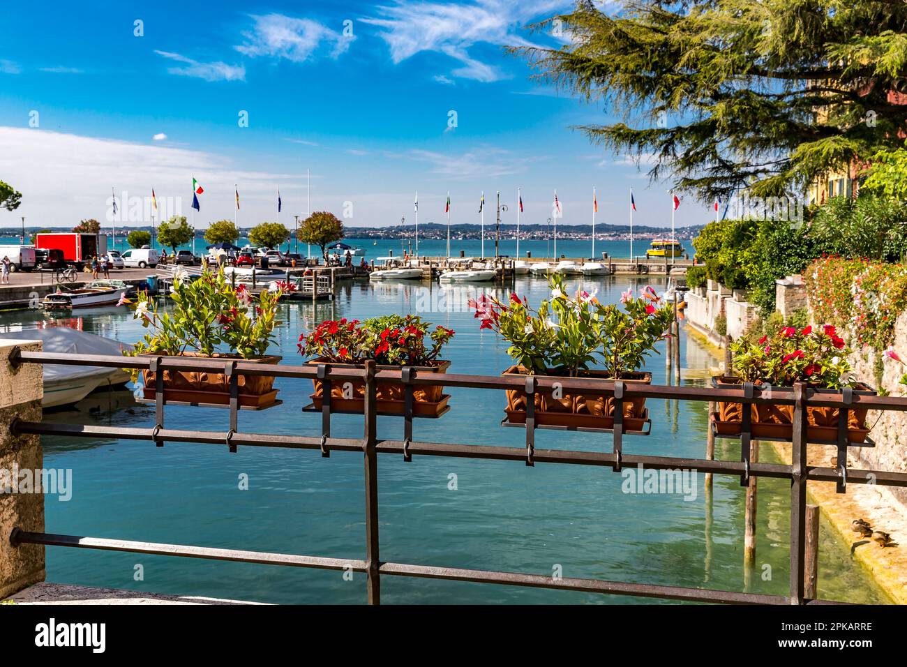 Flower box, jasmine, mandevilla, Sirmione, Lake Garda, Brescia, Italy ...