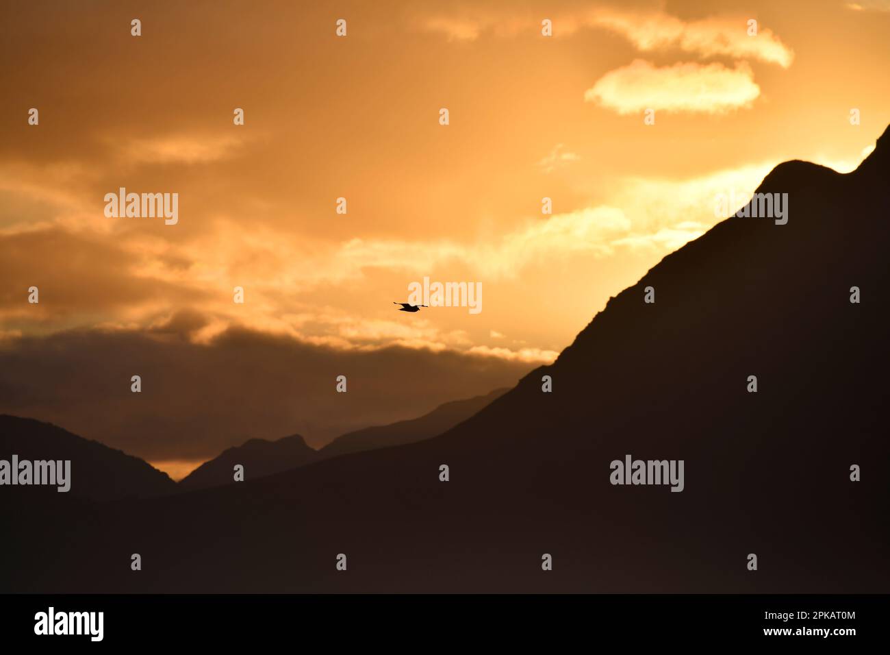 Flying through hi-res stock photography and images - Alamy