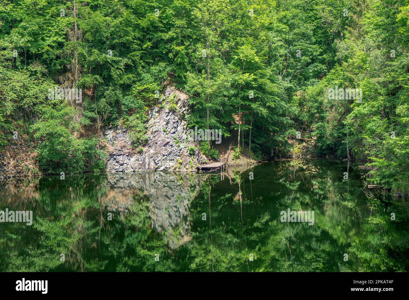 Wide shot calm forest lake hi-res stock photography and images - Alamy