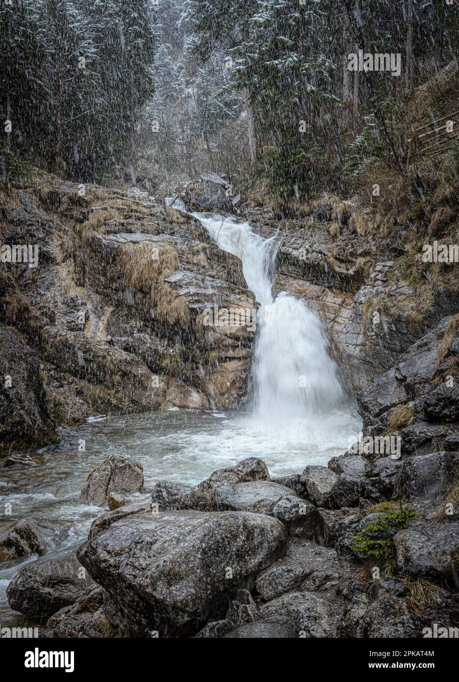 Garmisch partenkirchen cow hi-res stock photography and images - Alamy