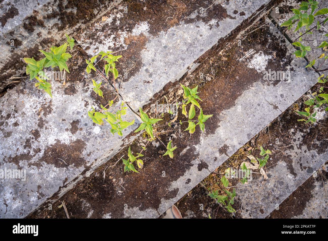 Worn out stairs hi-res stock photography and images - Alamy