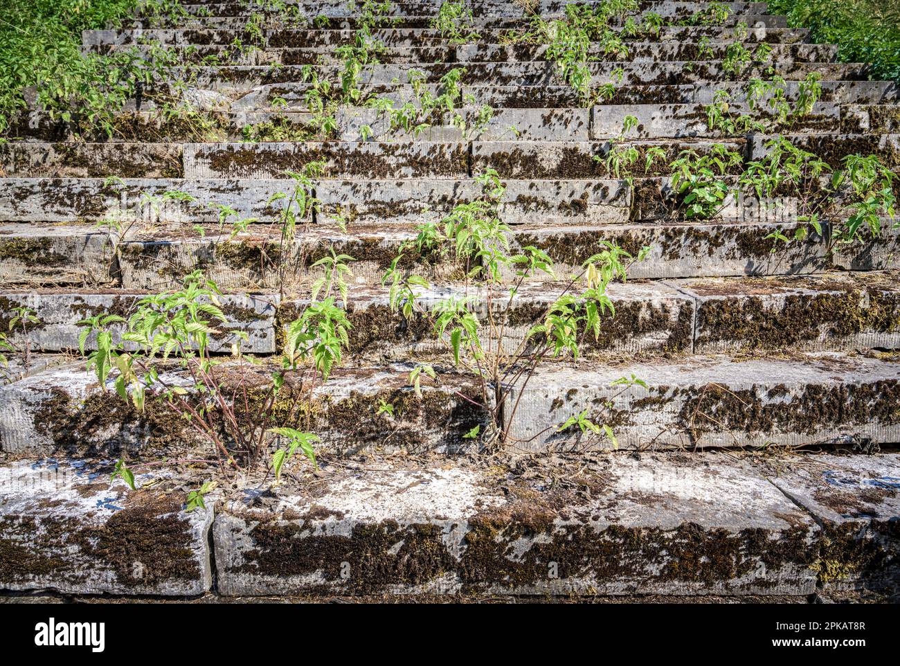 Overgrown landing hi-res stock photography and images - Alamy