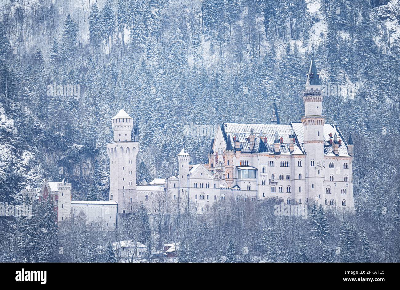 Neuschwanstein castle near fussen hi-res stock photography and images ...