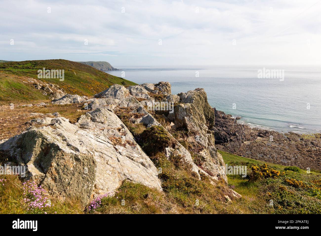 Rocky coast with view to Nez de Jobourg in springtime Stock Photo - Alamy