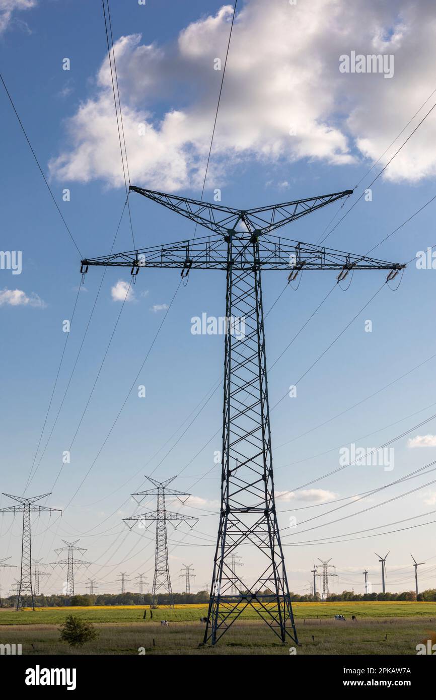 Overhead line, high-voltage pylon near Schortens, in the district of ...