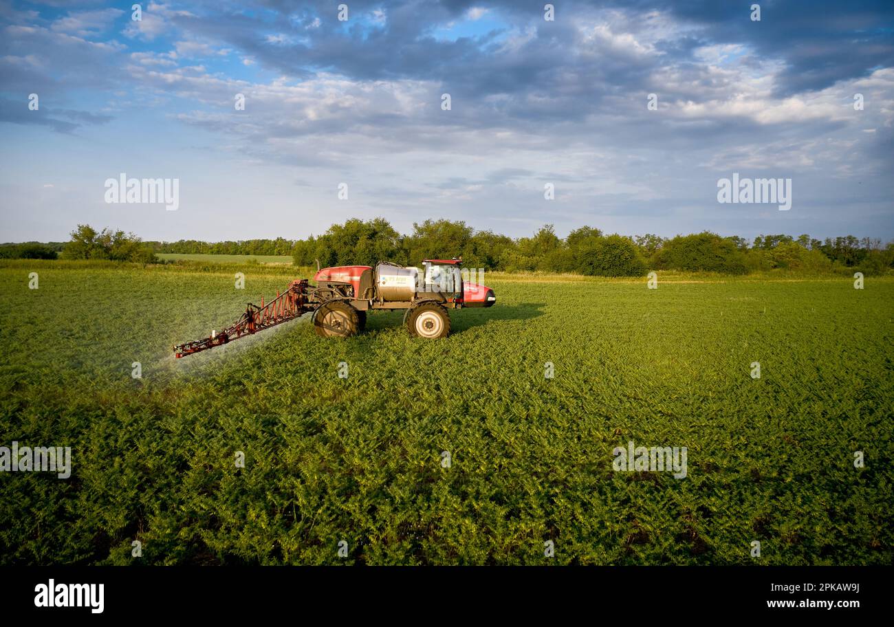 Sprayer CASE 3330 spraying pesticides on chickpea field. Field ...