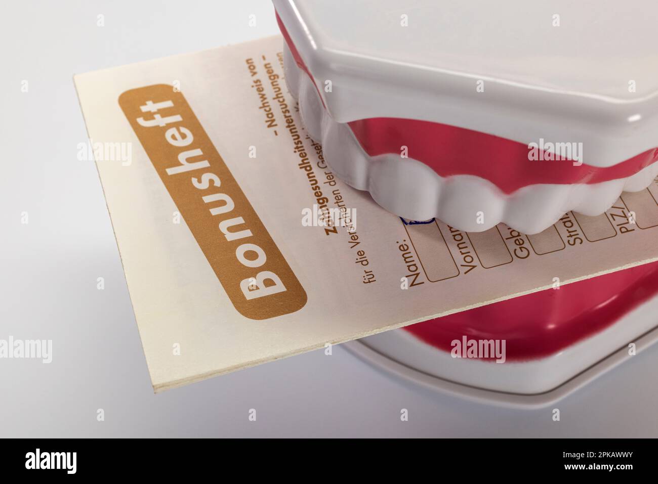 Dental care model opened, oral cavity, 50 euro banknotes bundled ...