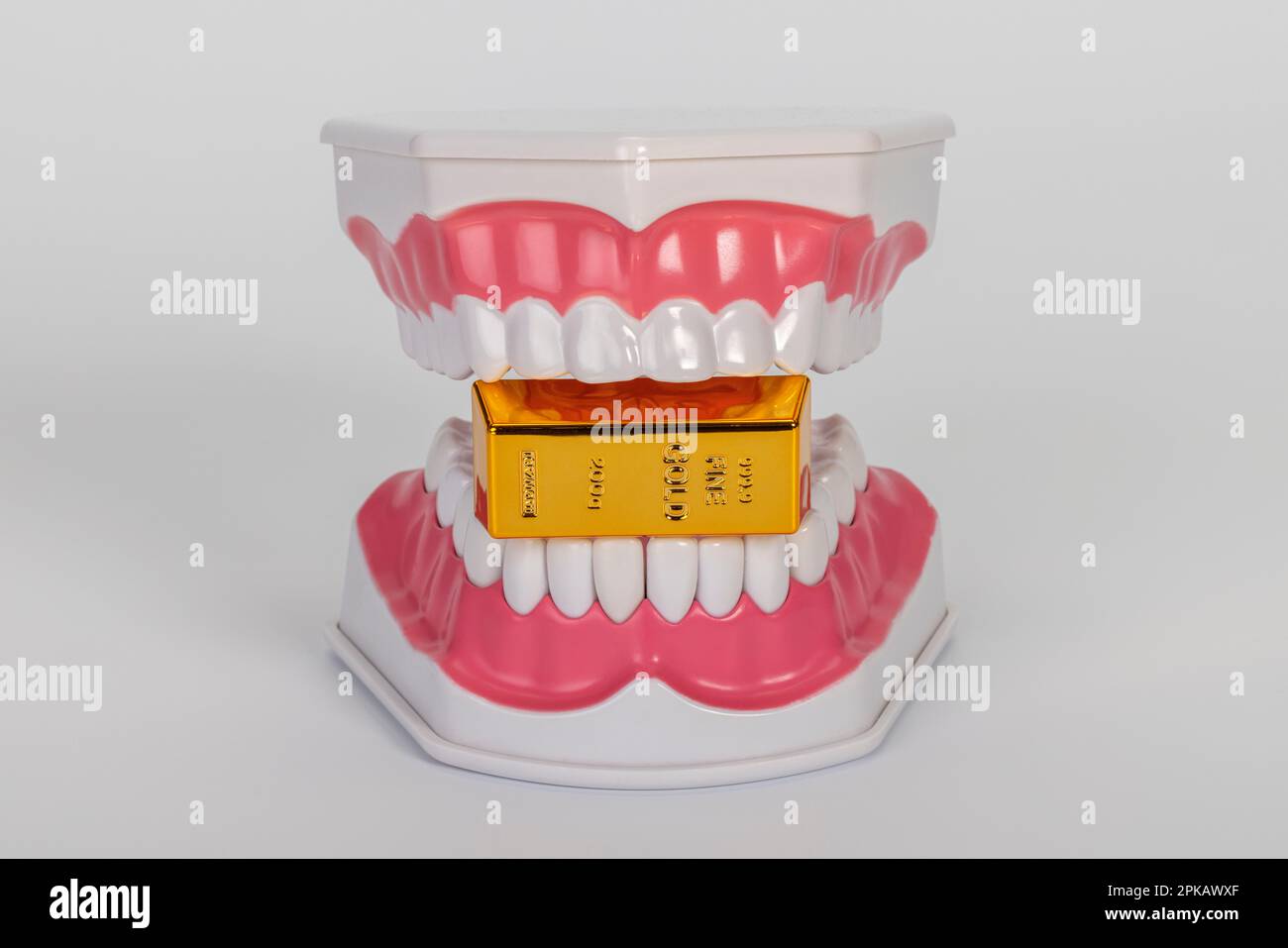 Dental care model opened, with 200g gold bar, detail, symbol image ...