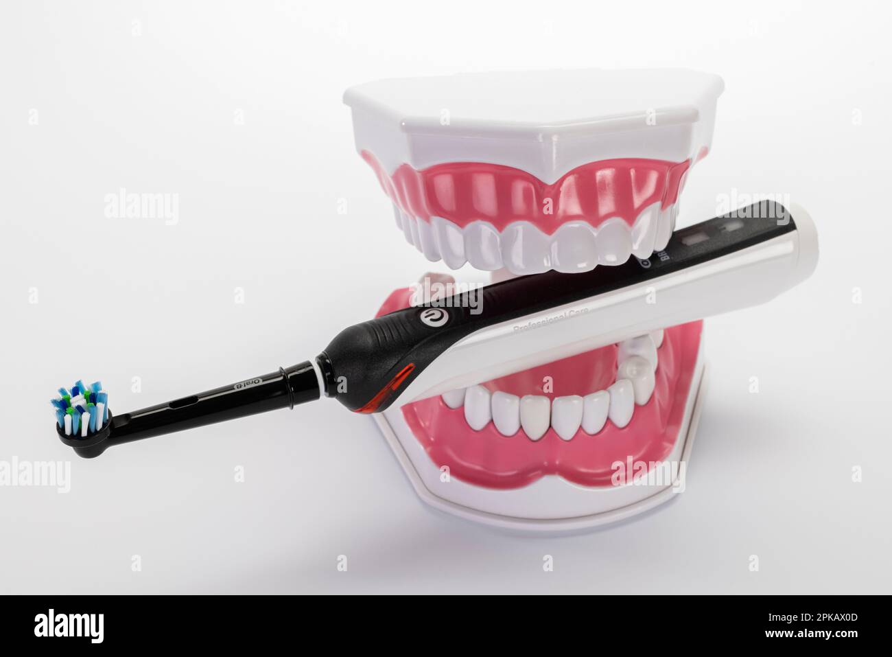 Dental care model opened, electric toothbrush, by Oral-B, symbol image ...