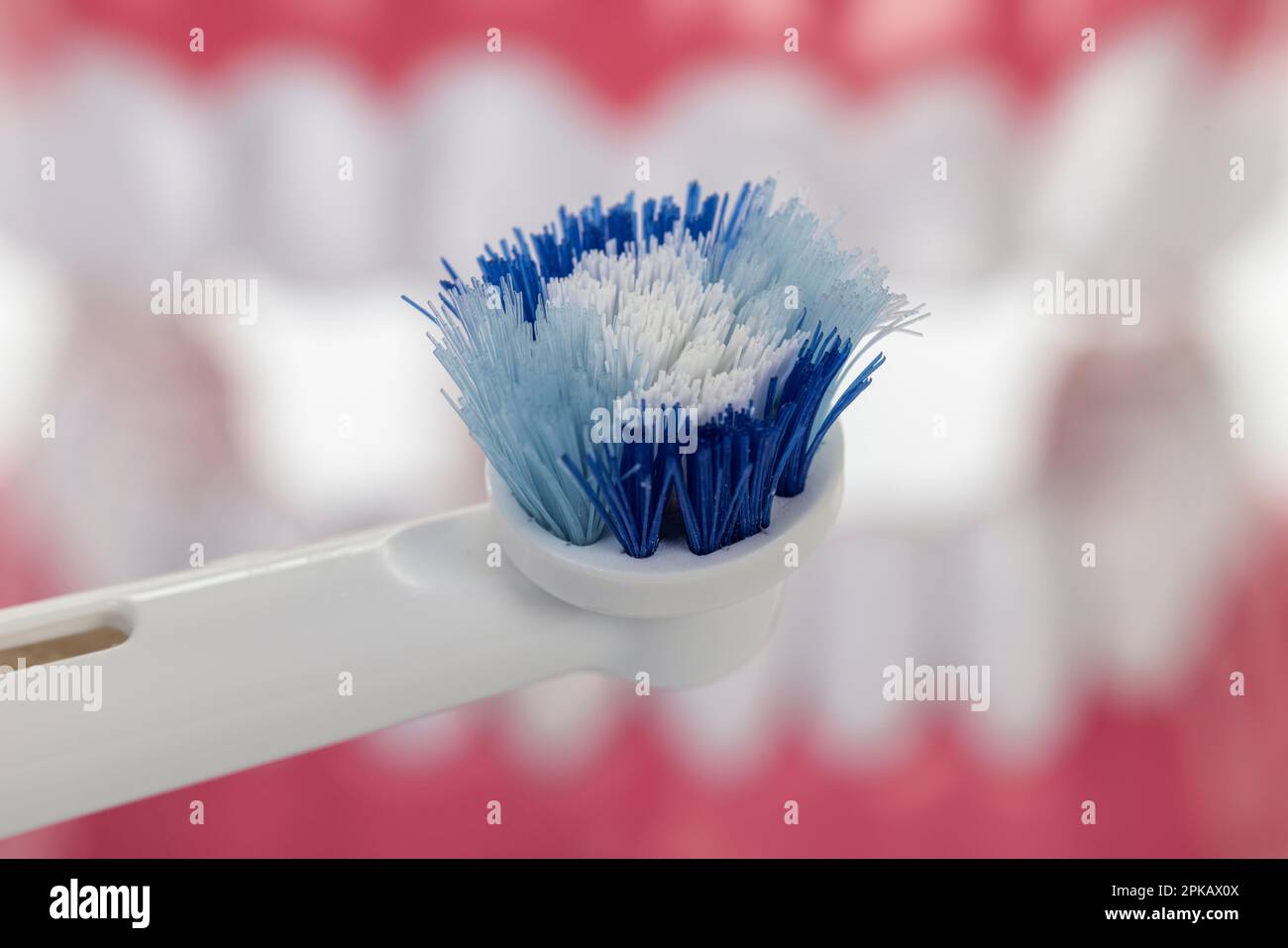 Dental attachment detail hi-res stock photography and images - Alamy