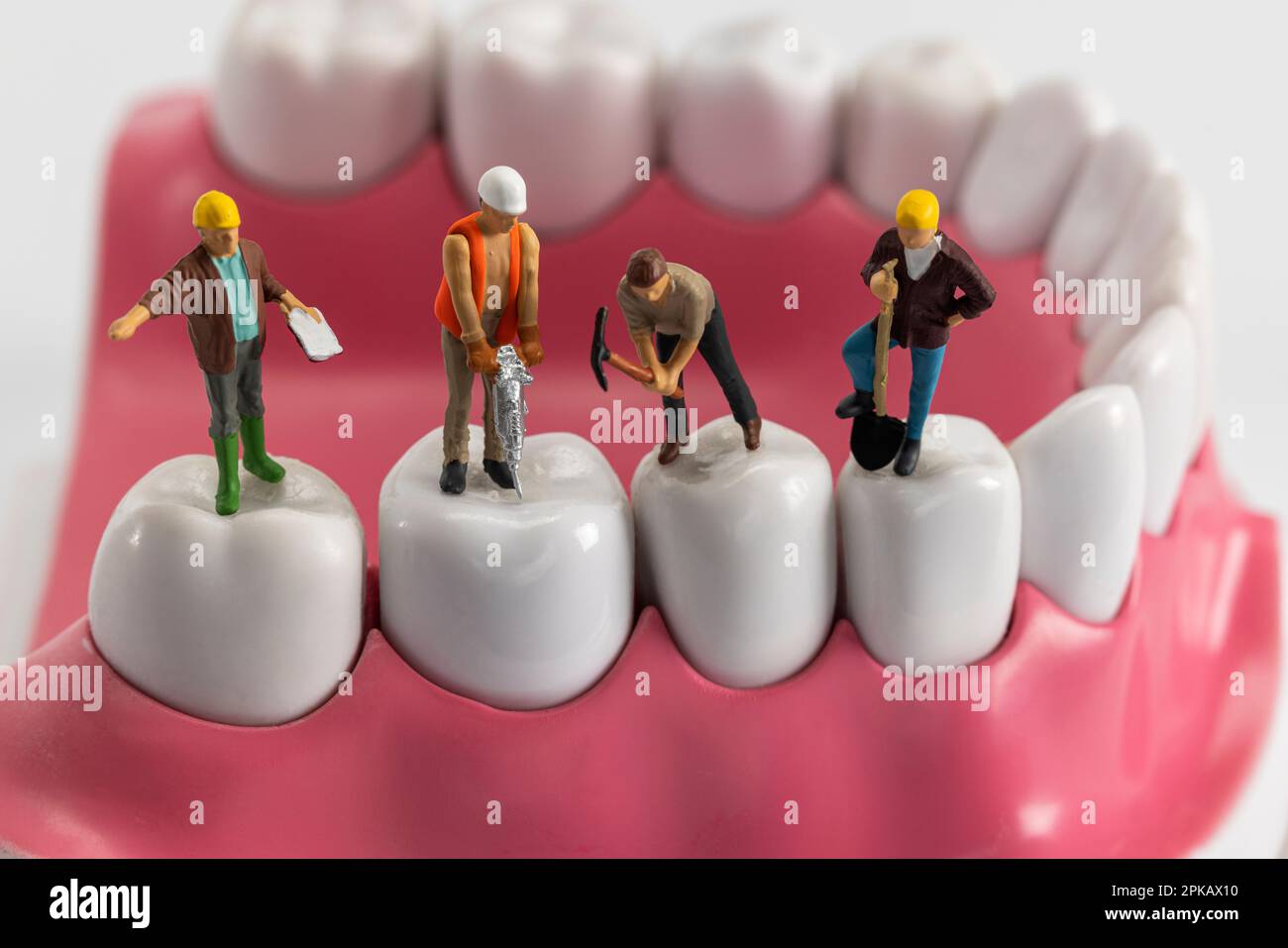 Dental care model, miniature figures worker on teeth row, detail ...