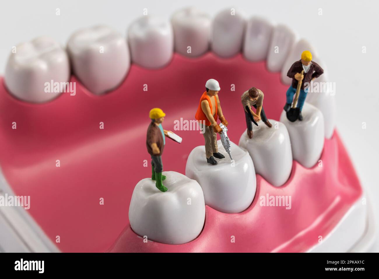 Dental care model, miniature figures worker on teeth row, detail ...