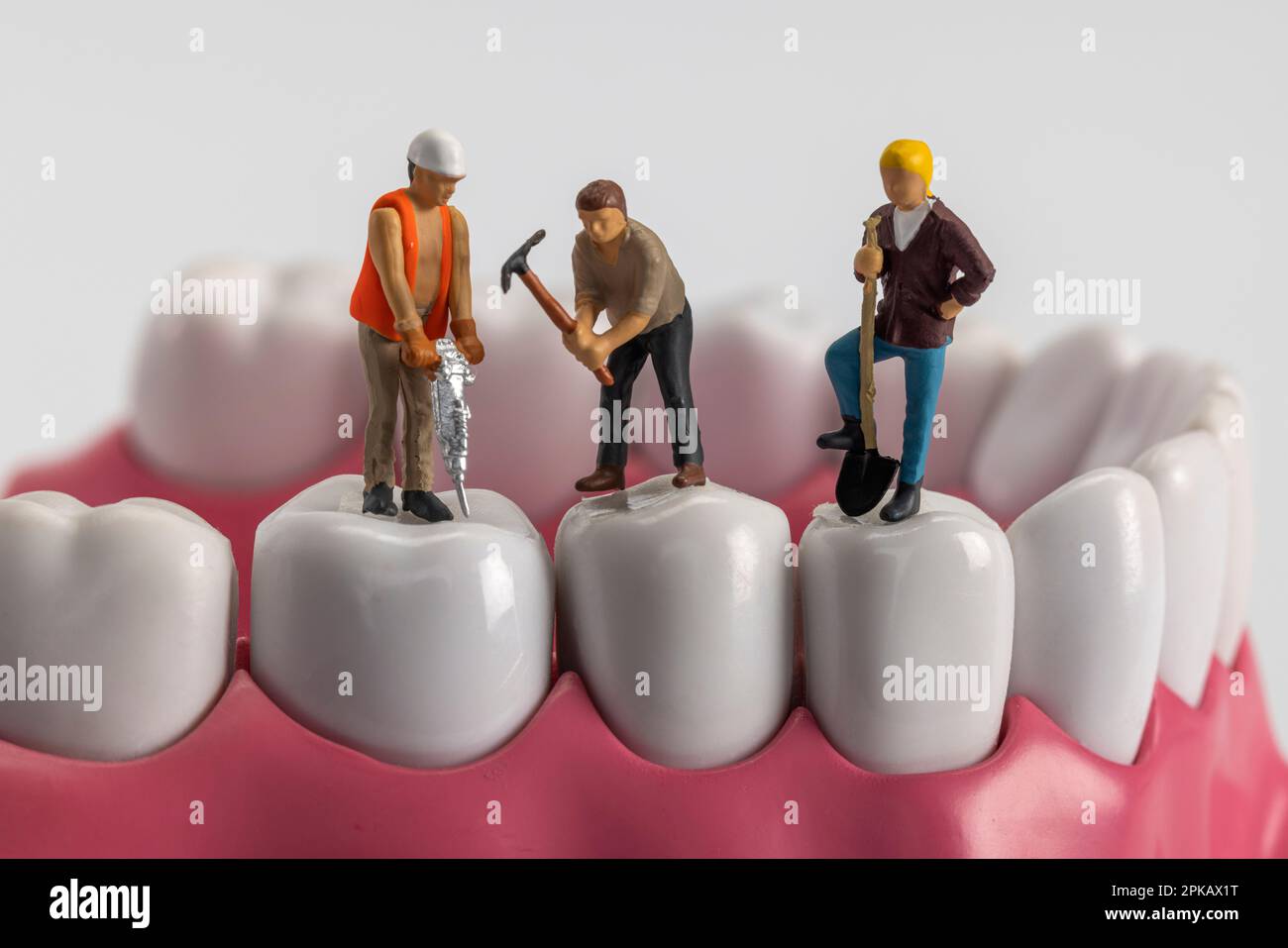 Dental care model, miniature figures worker on teeth row, detail ...
