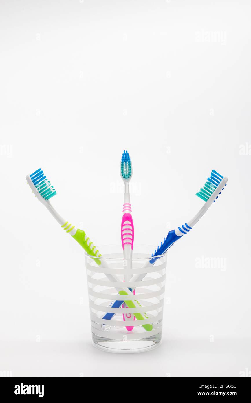 Three toothbrushes in toothbrush cup, symbol image, teeth cleaning ...