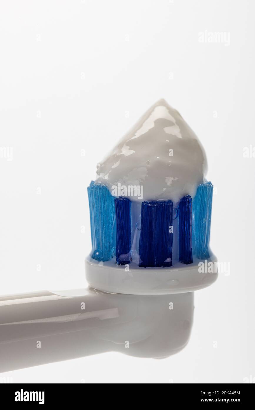 Toothpaste on toothbrush head of electric toothbrush, by Oral-B, detail ...