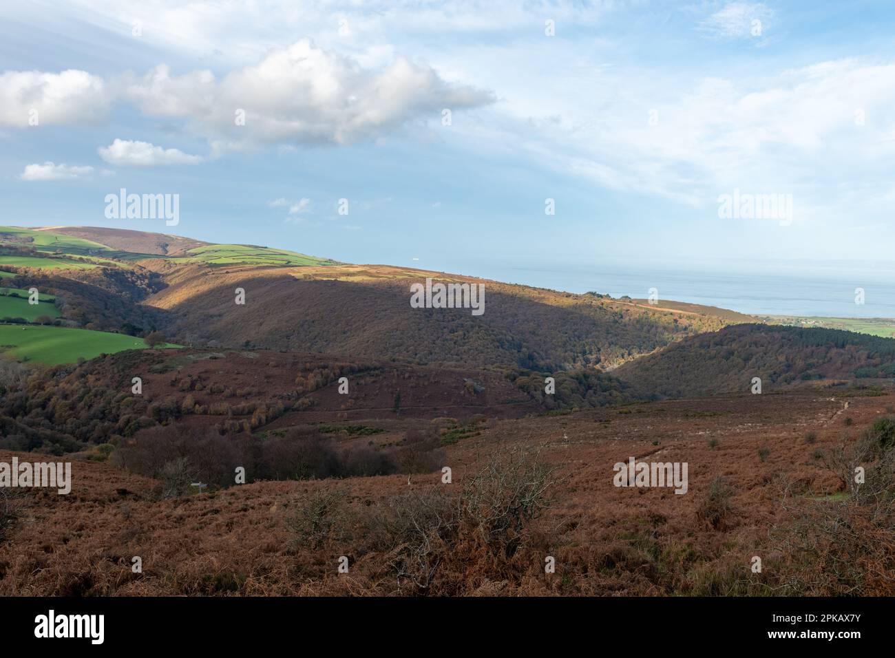 Landscape photo of the autumn colours at Horner woods in Exmoor ...