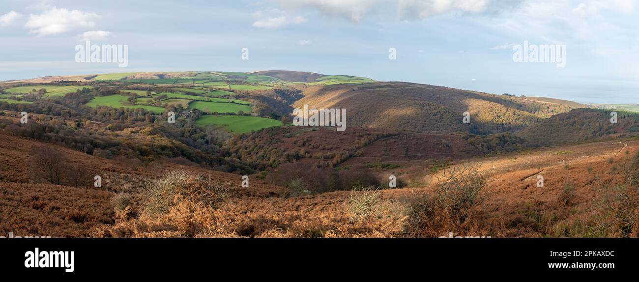 Panoramic photo of the autumn colours at Horner woods in Exmoor ...