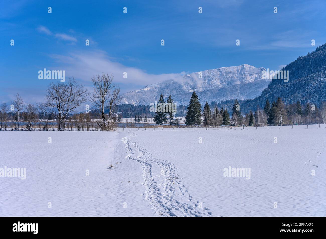 Austria, Tyrol, Kaiserwinkl, Walchsee, winter landscape at Walchsee ...