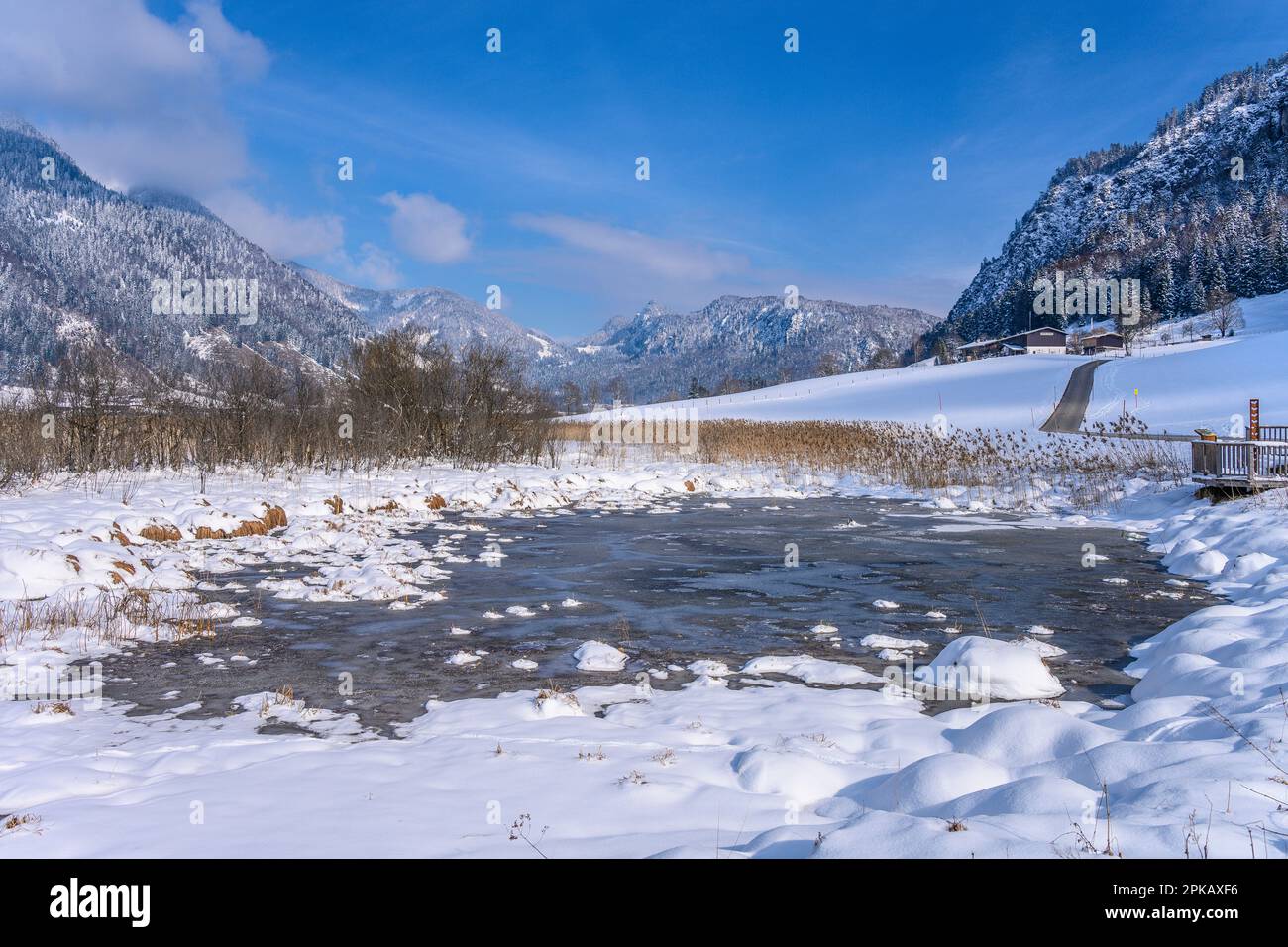Austria, Tyrol, Kaiserwinkl, Walchsee, Schwaigs, Schwemm moorland ...