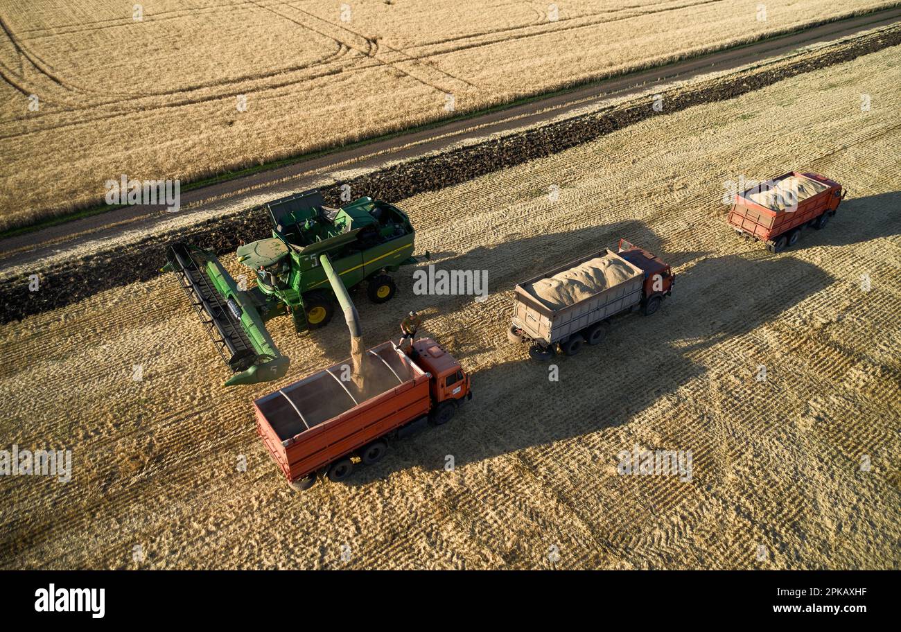 Farmer unloading grain from hi-res stock photography and images - Alamy