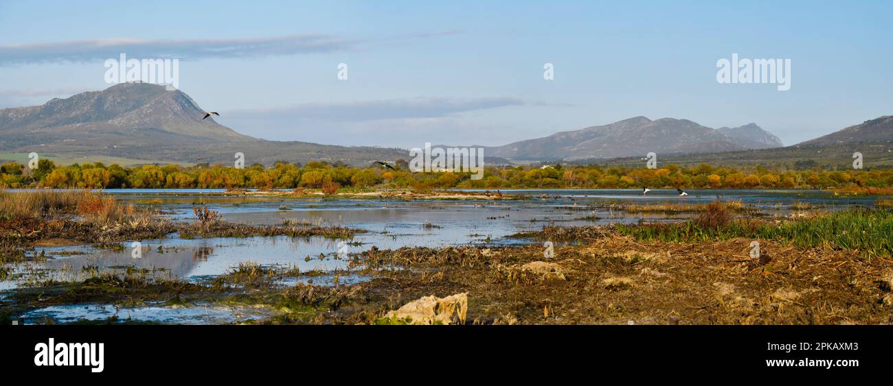 Bot river wetlands hi-res stock photography and images - Alamy