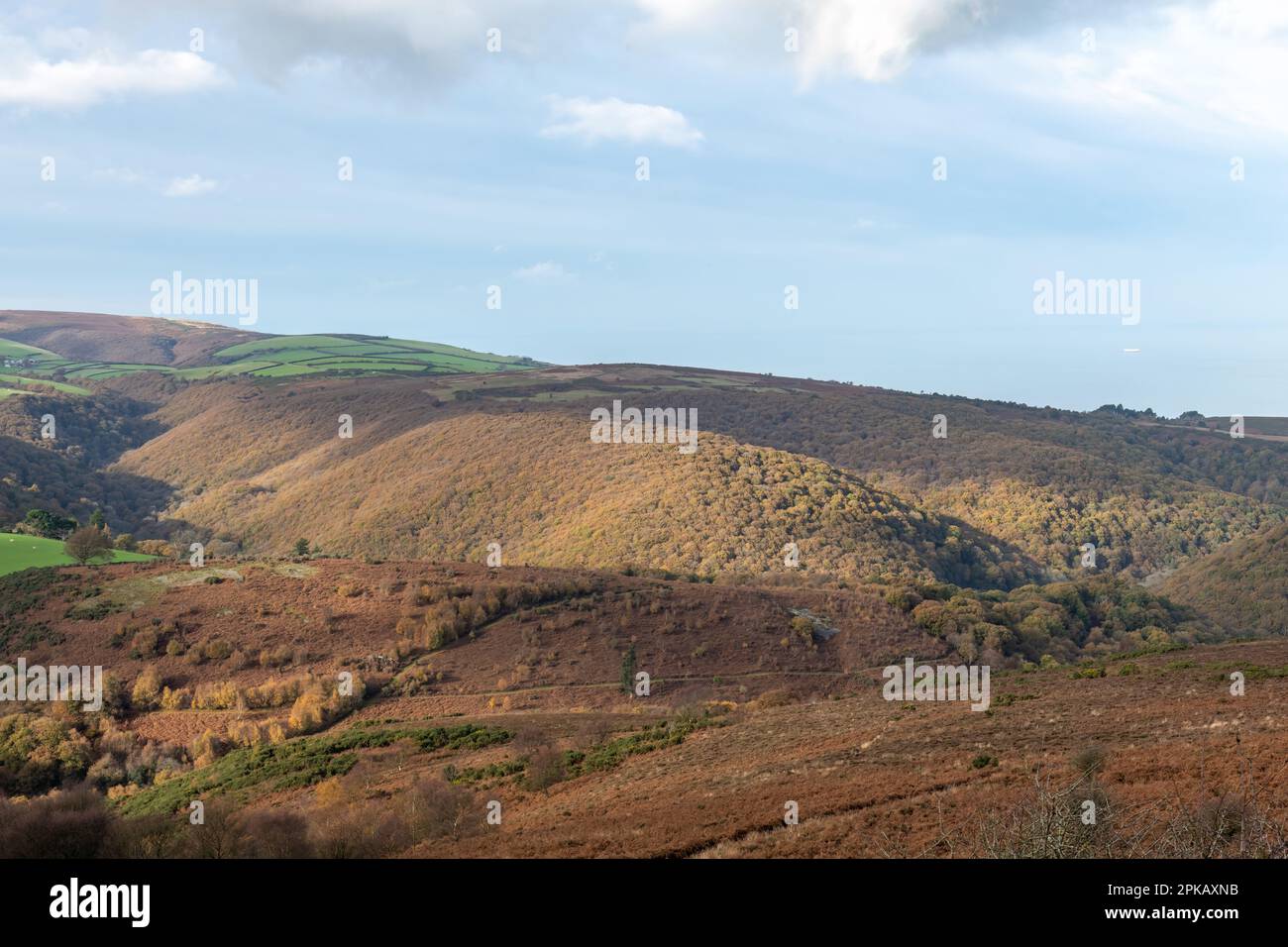 Landscape photo of the autumn colours at Horner woods in Exmoor ...