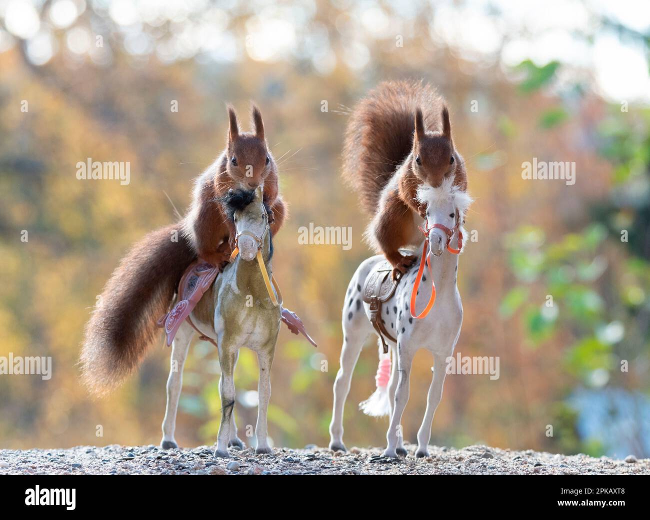 Toy horse race hi-res stock photography and images - Alamy