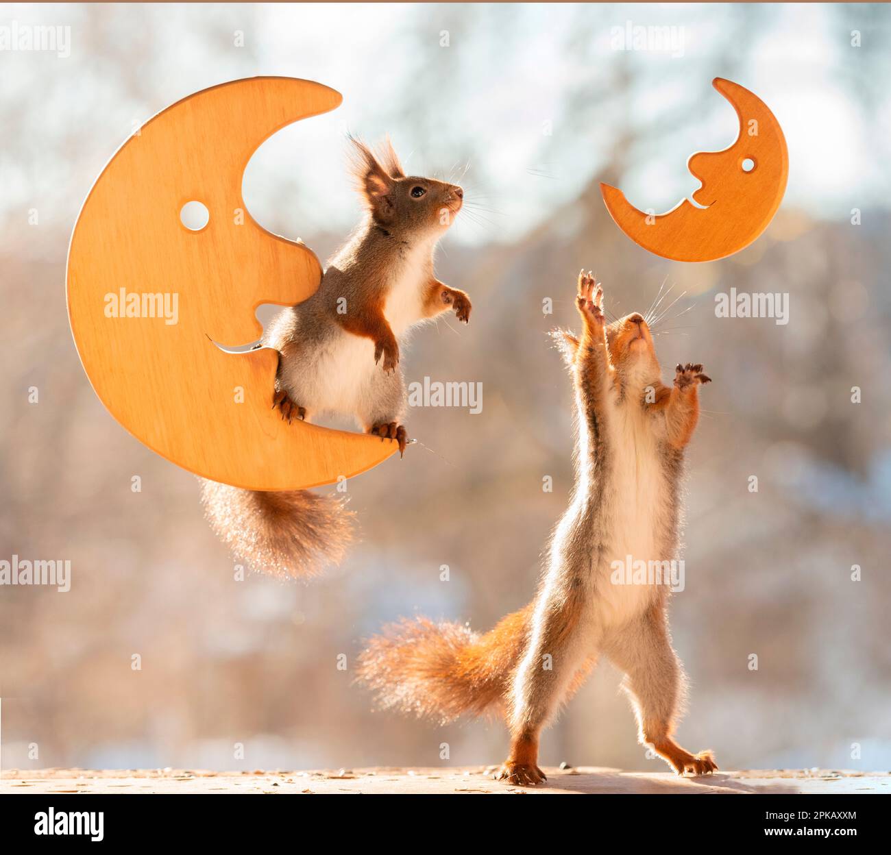 Reaching for the moon hi-res stock photography and images - Alamy
