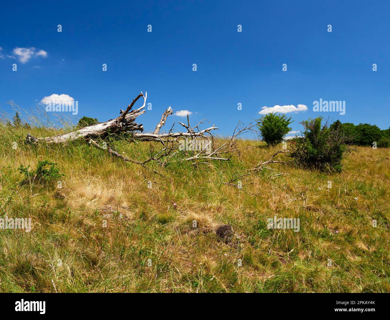 Biosphärenreservat rhoen hi-res stock photography and images - Alamy