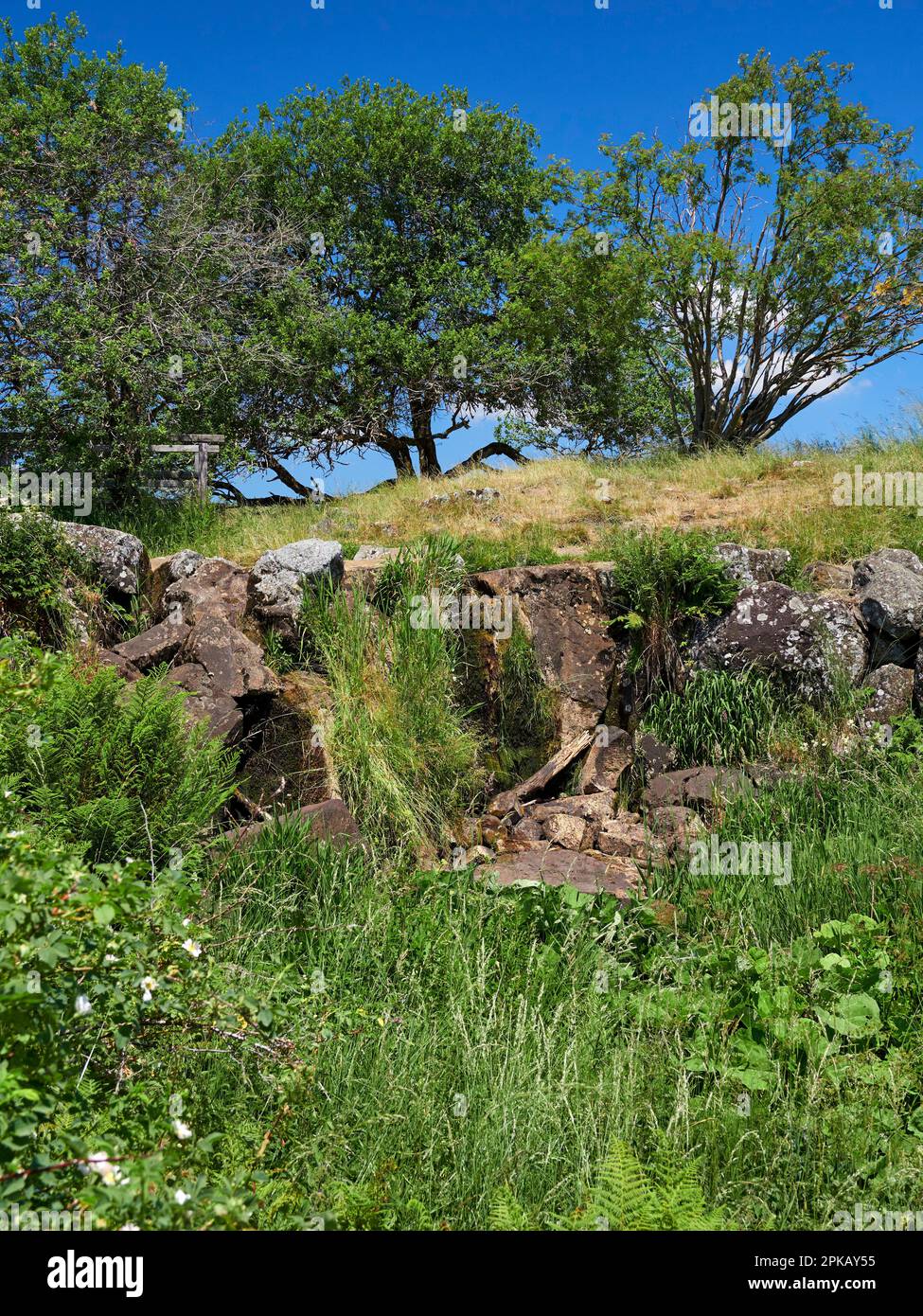 The waterfall at the ice ditch in the nature reserve 'Hohe Rhön ...