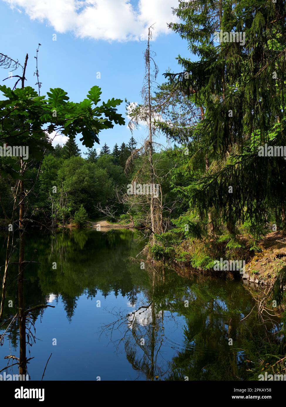 The Silver Lake at the Rother Kuppe, Rhön Biosphere Reserve, Lower ...