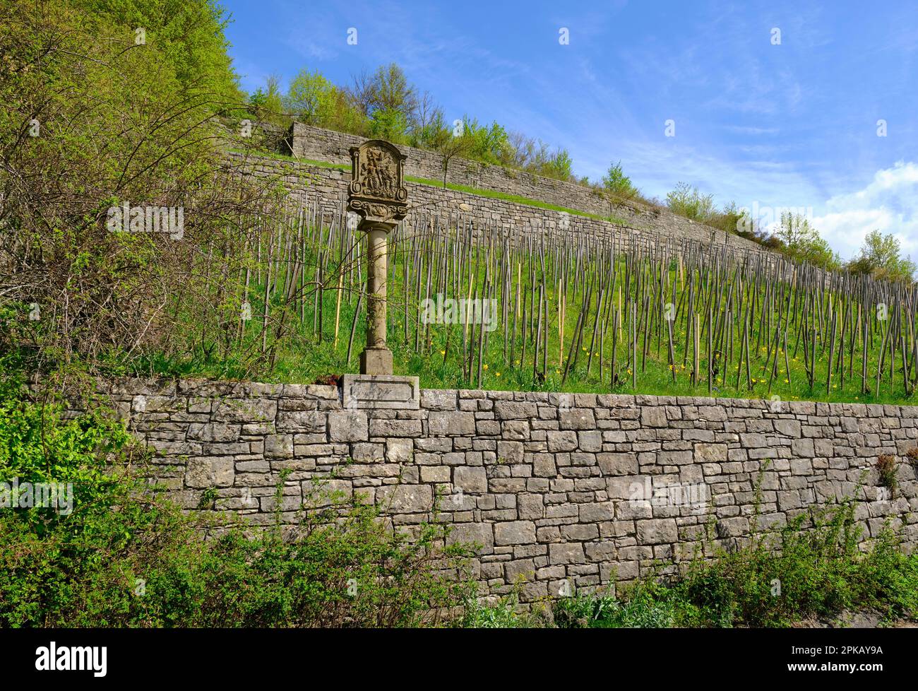 Wengert hi-res stock photography and images - Alamy