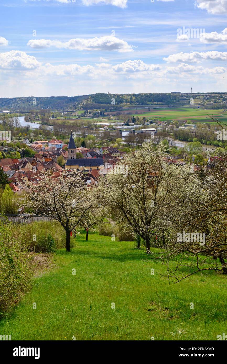 Mixed fruit orchard in hi-res stock photography and images - Alamy