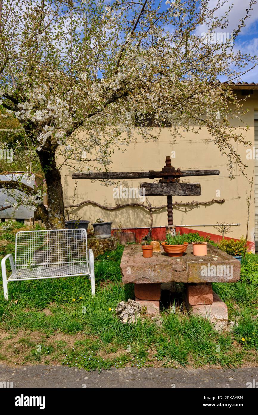 Mixed fruit orchard hi-res stock photography and images - Alamy