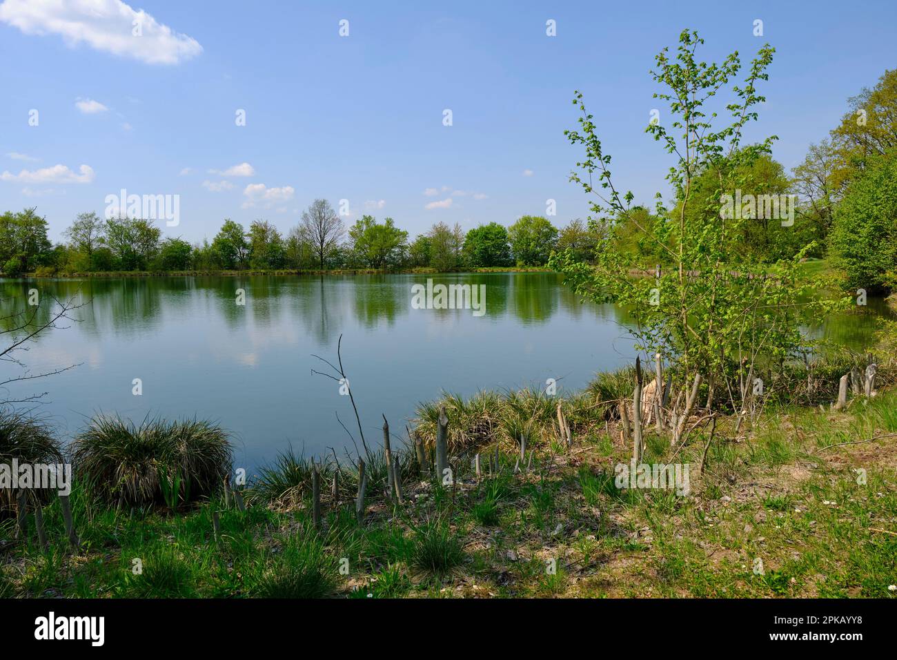 Langenbach hi-res stock photography and images - Alamy