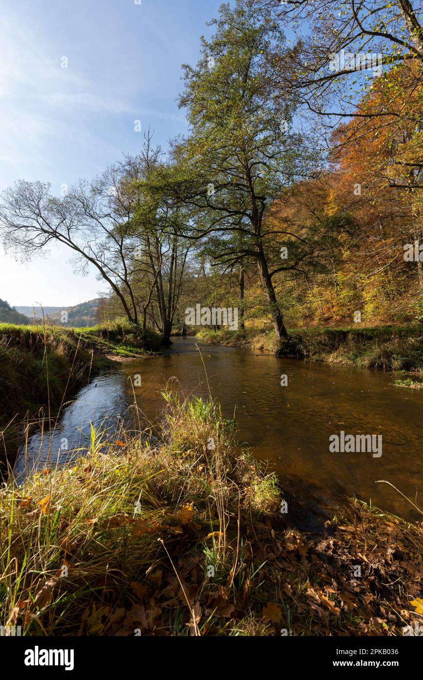 Lower schondra valley nature reserve hi-res stock photography and ...
