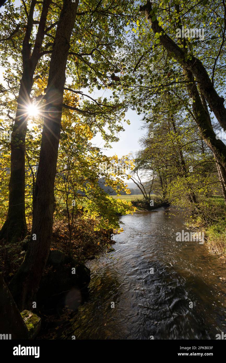 Lower schondra valley nature reserve hi-res stock photography and ...