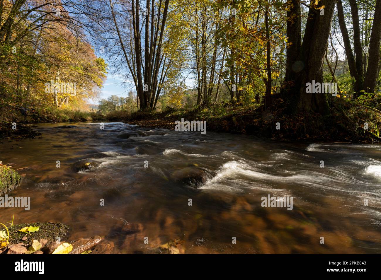The Schondra River in the Lower Schondra Valley Nature Reserve, between ...