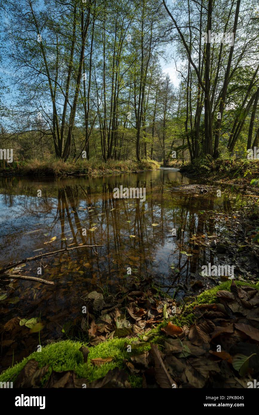 The schondra river in the lower schondra valley nature reserve hi-res ...