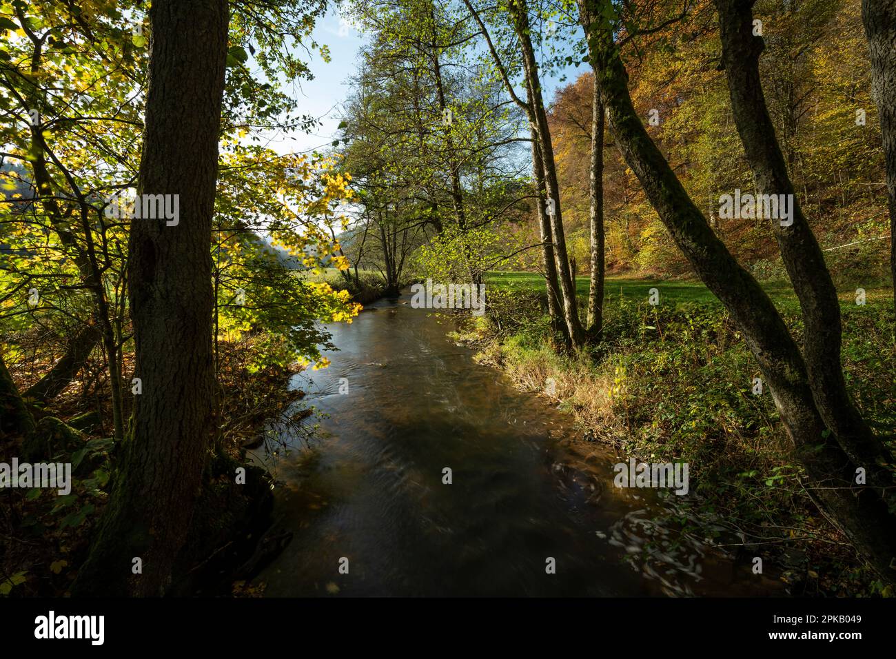 The schondra river in the lower schondra valley nature reserve hi-res ...