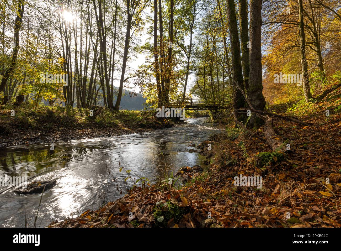 The schondra river in the lower schondra valley nature reserve hi-res ...